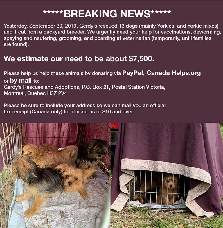 **BREAKING NEWS**WE NEED YOUR HELP!